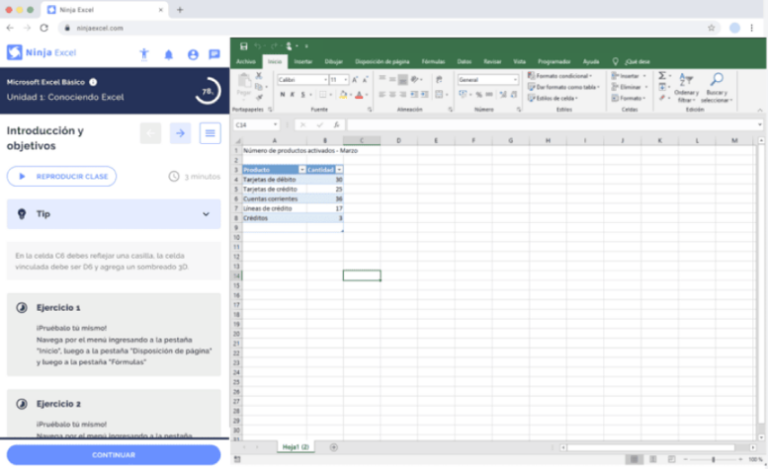 Conoce los cursos de Excel de Ninja Excel