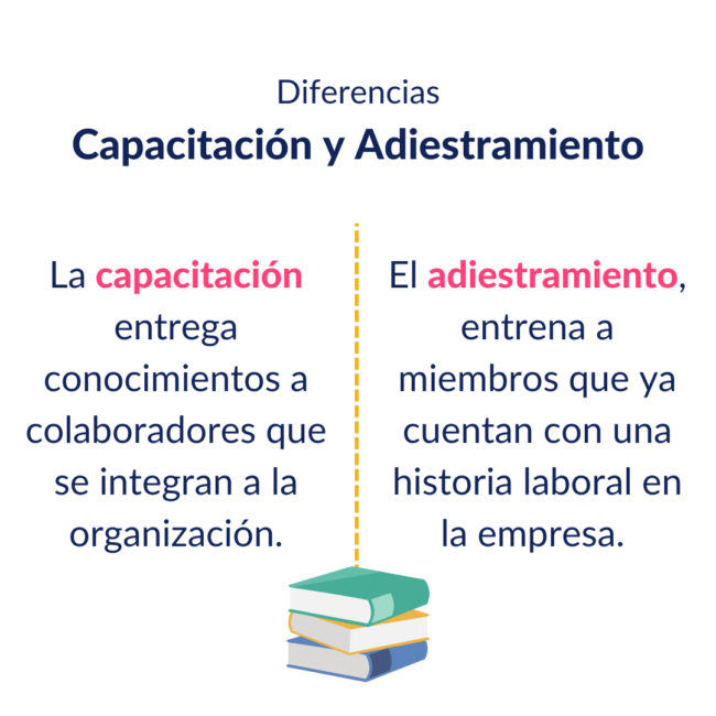 Capacitación y Adiestramiento - Ninja Excel